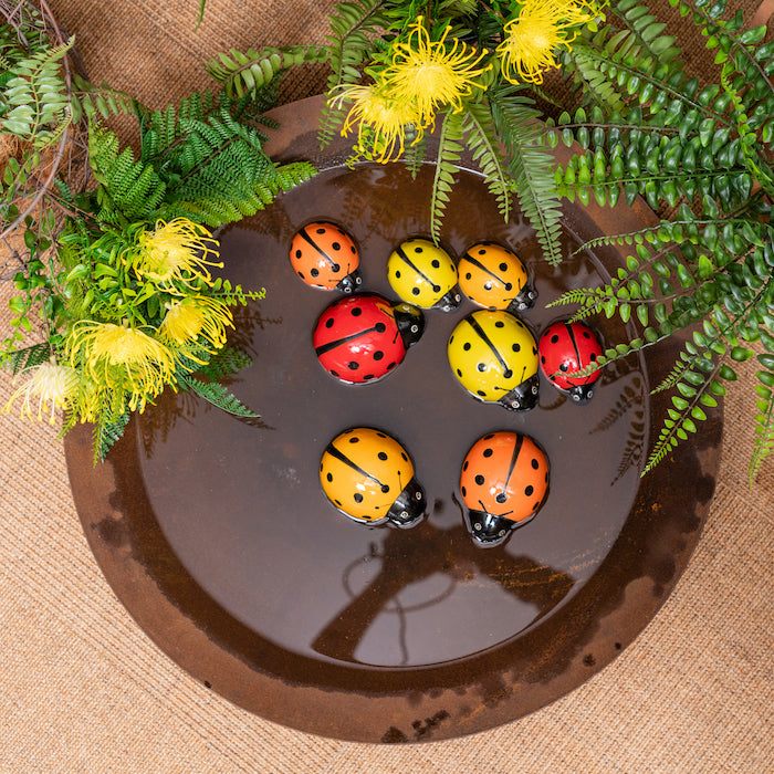 Floating Ladybug Ceramic – The Natural Pond Store