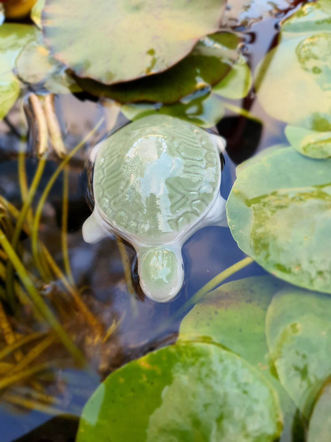 Floating Turtles Porcelain – The Natural Pond Store